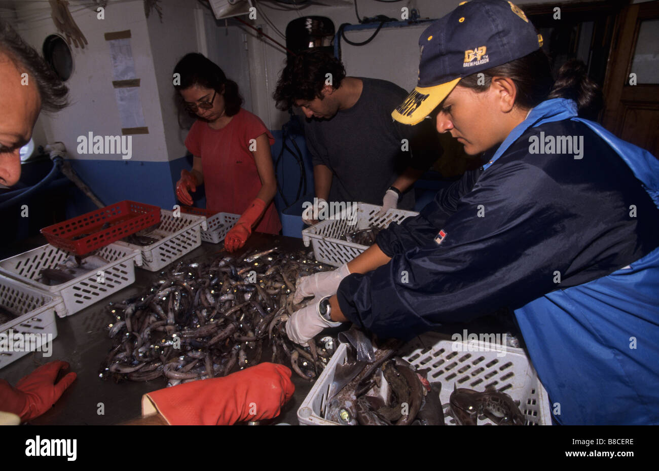 Fish conservation research hi-res stock photography and images - Alamy