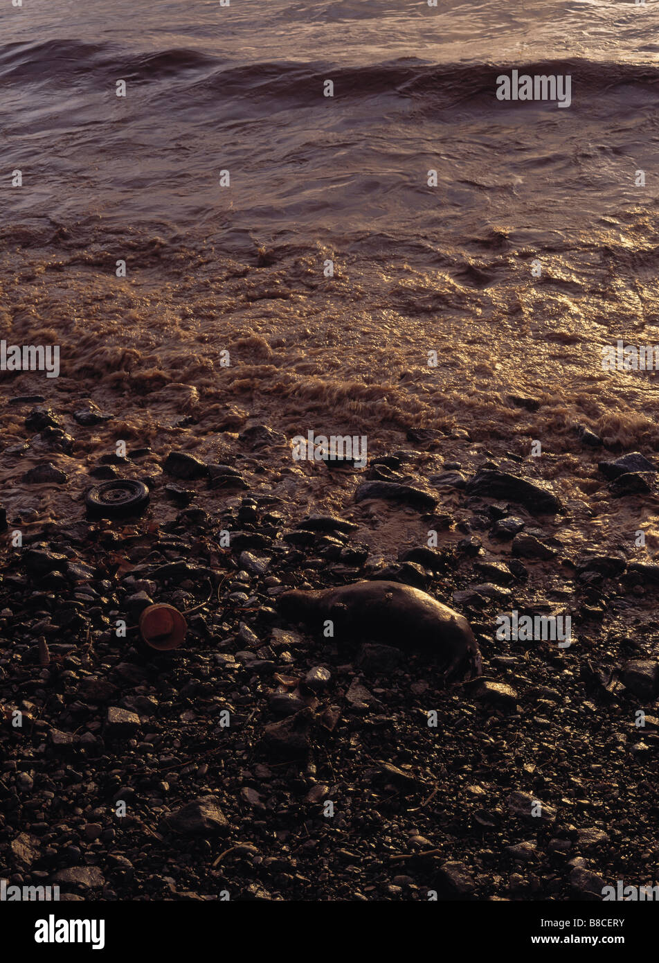 Oiled beach hi-res stock photography and images - Alamy