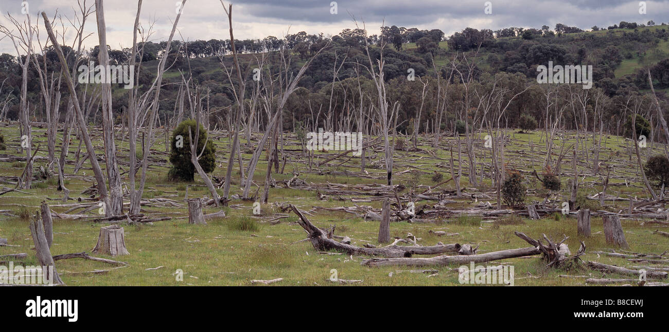 Deforestation hi-res stock photography and images - Alamy