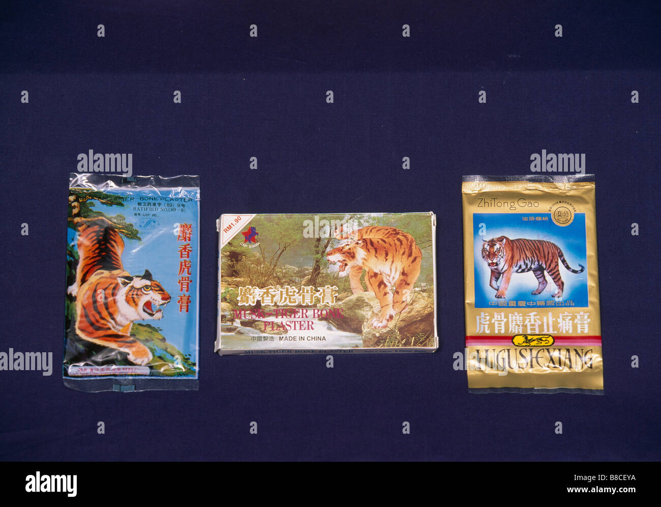 TIGER BONE PLASTERS Stock Photo - Alamy