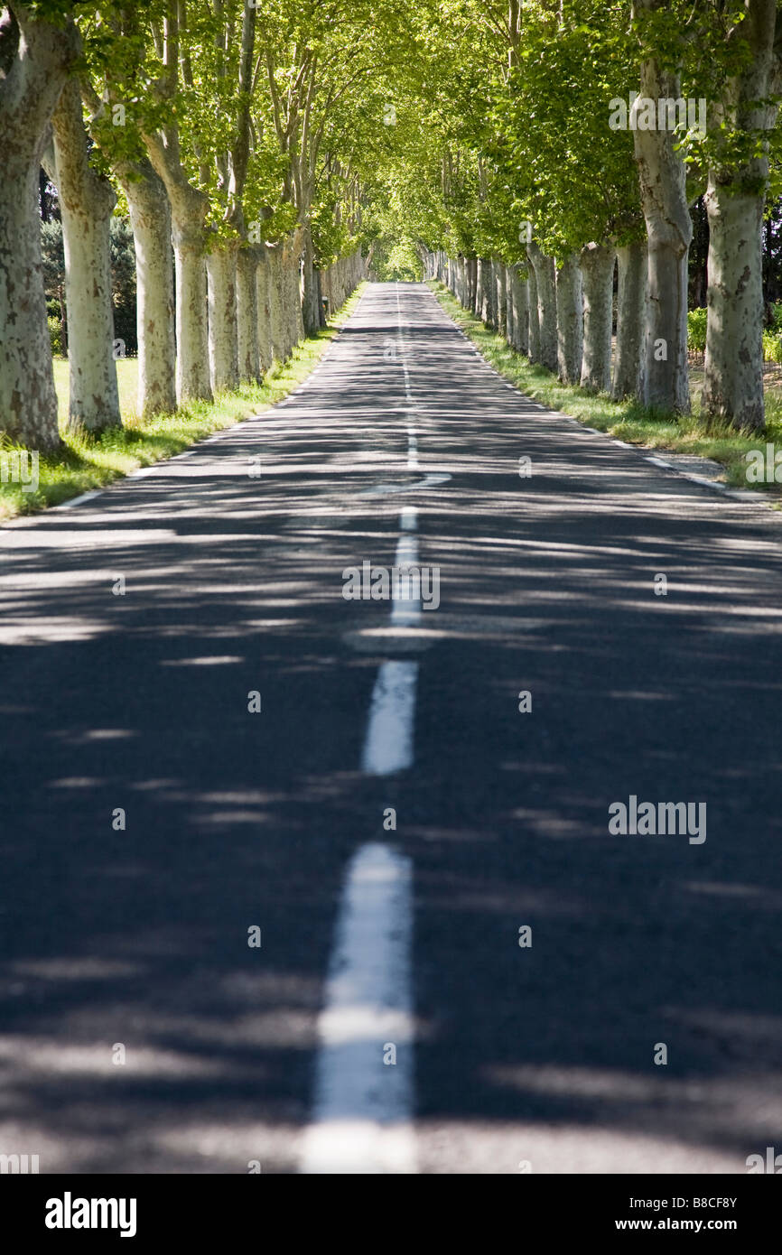 Shaded country road hi-res stock photography and images - Alamy
