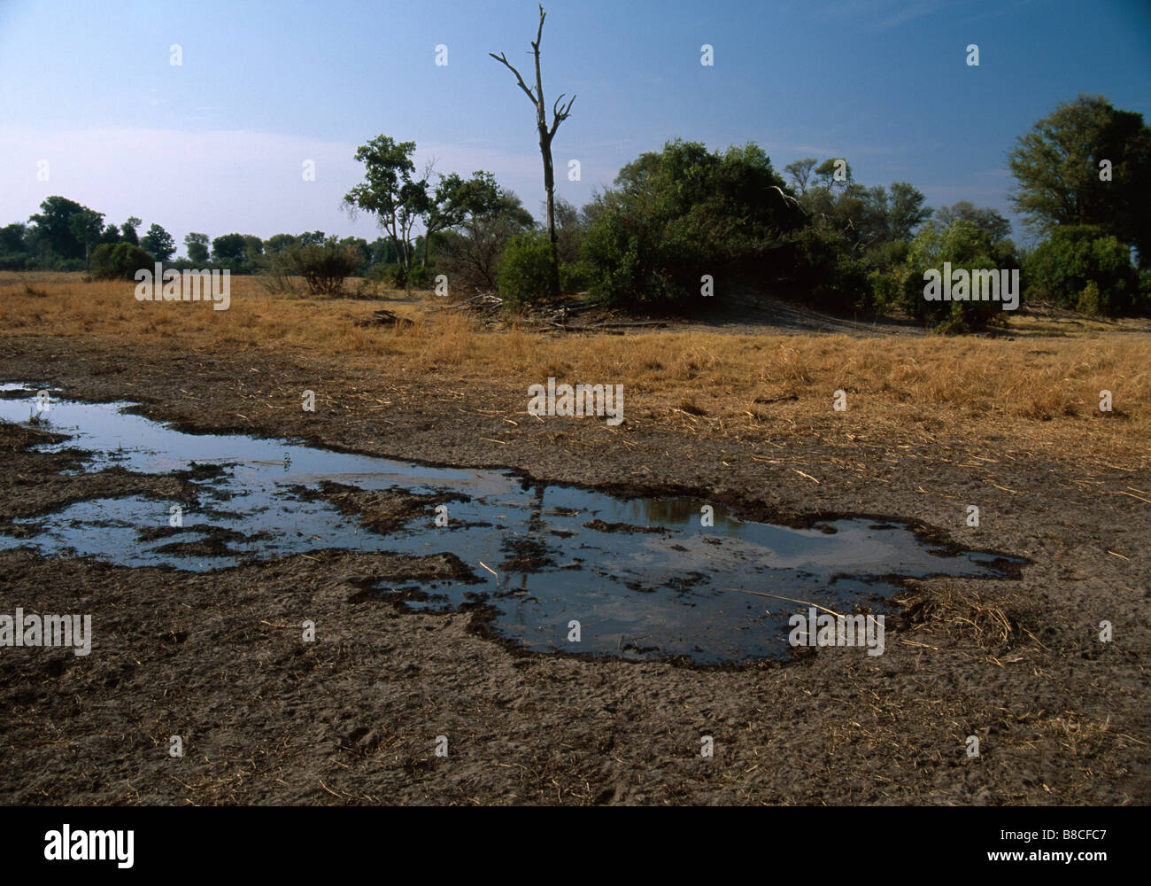 African flood hi-res stock photography and images - Alamy