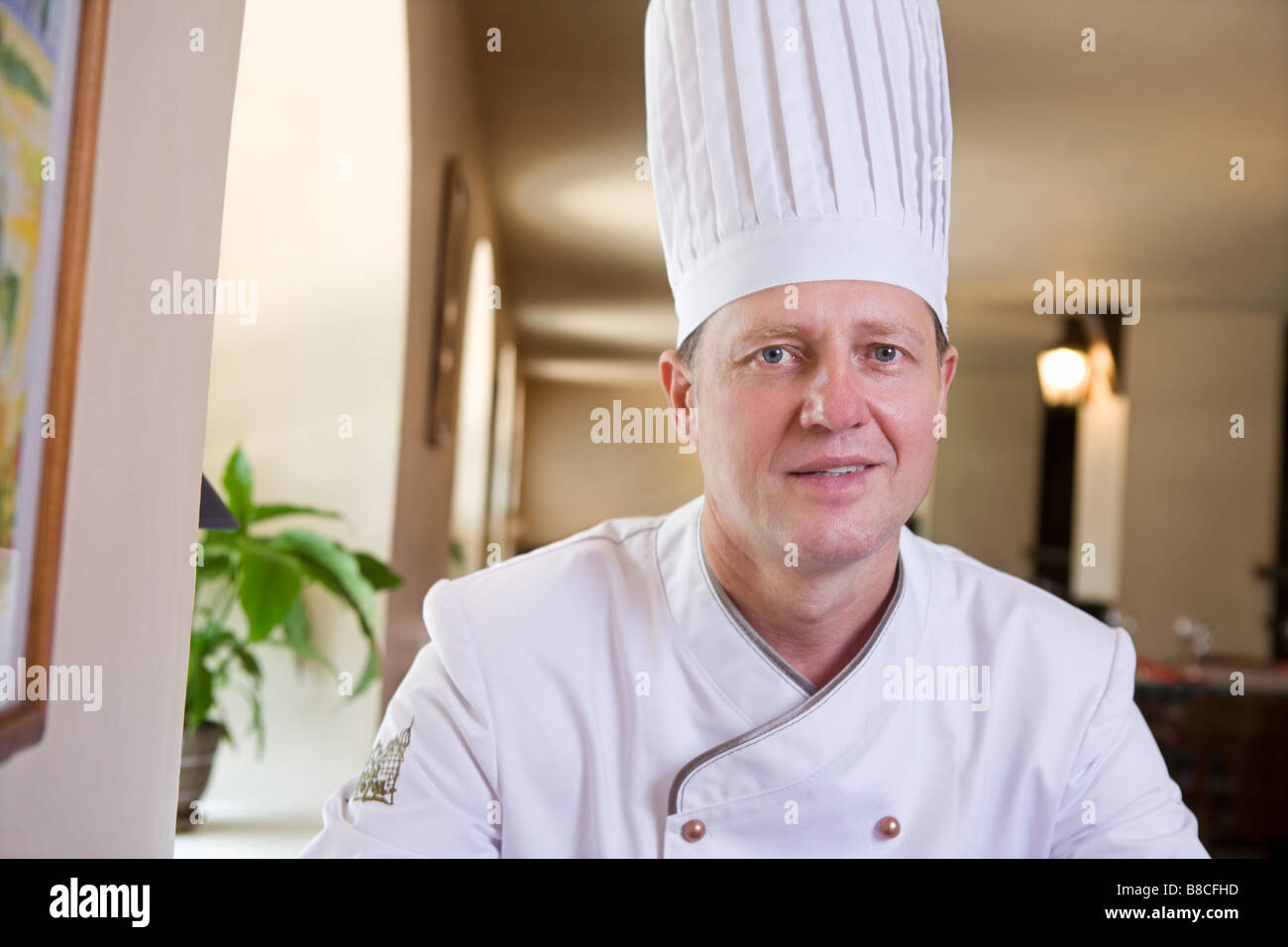 Chef in Restaurant Stock Photo - Alamy
