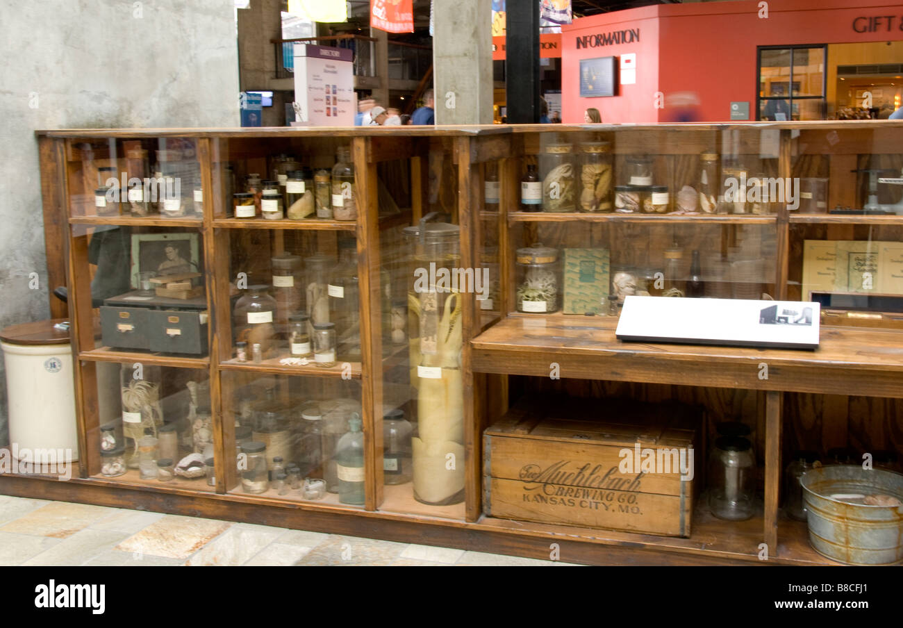 Doc Ricketts Lab exhibit at Monterey Bay Aquarium Stock Photo - Alamy