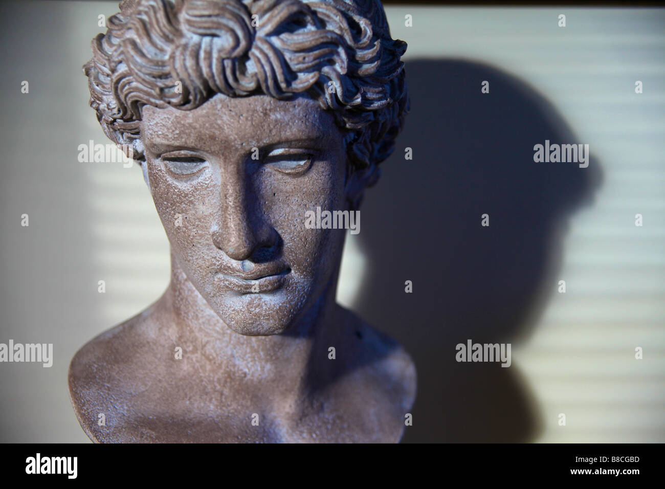 A close up of a Roman head Stock Photo - Alamy