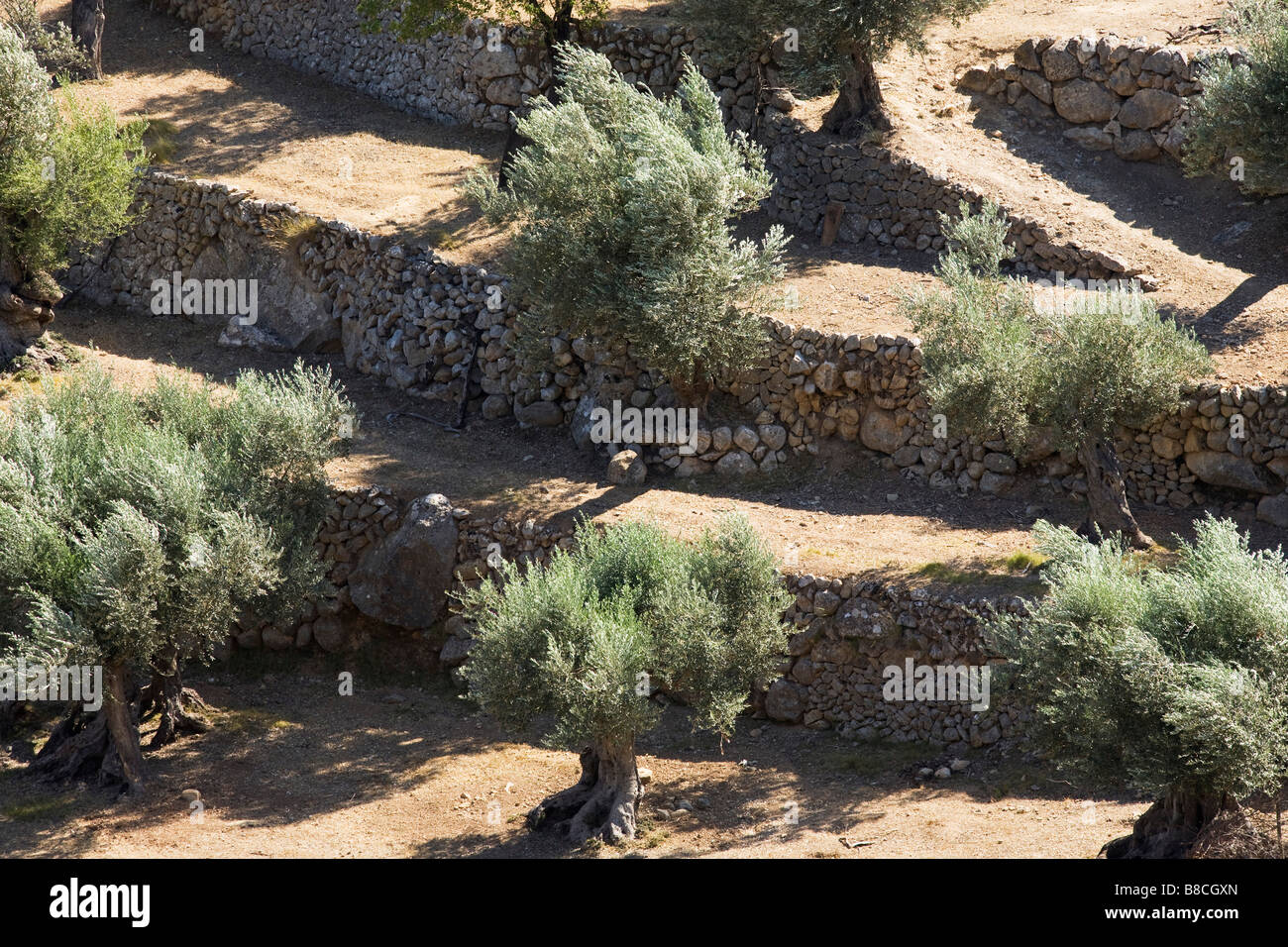 Landscape with stone walls hi-res stock photography and images - Alamy