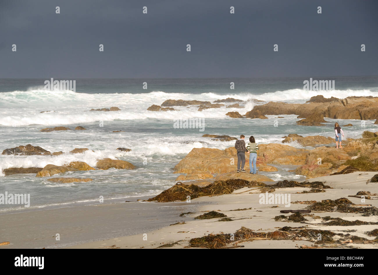 Monterey california asilomar beach hi-res stock photography and images ...