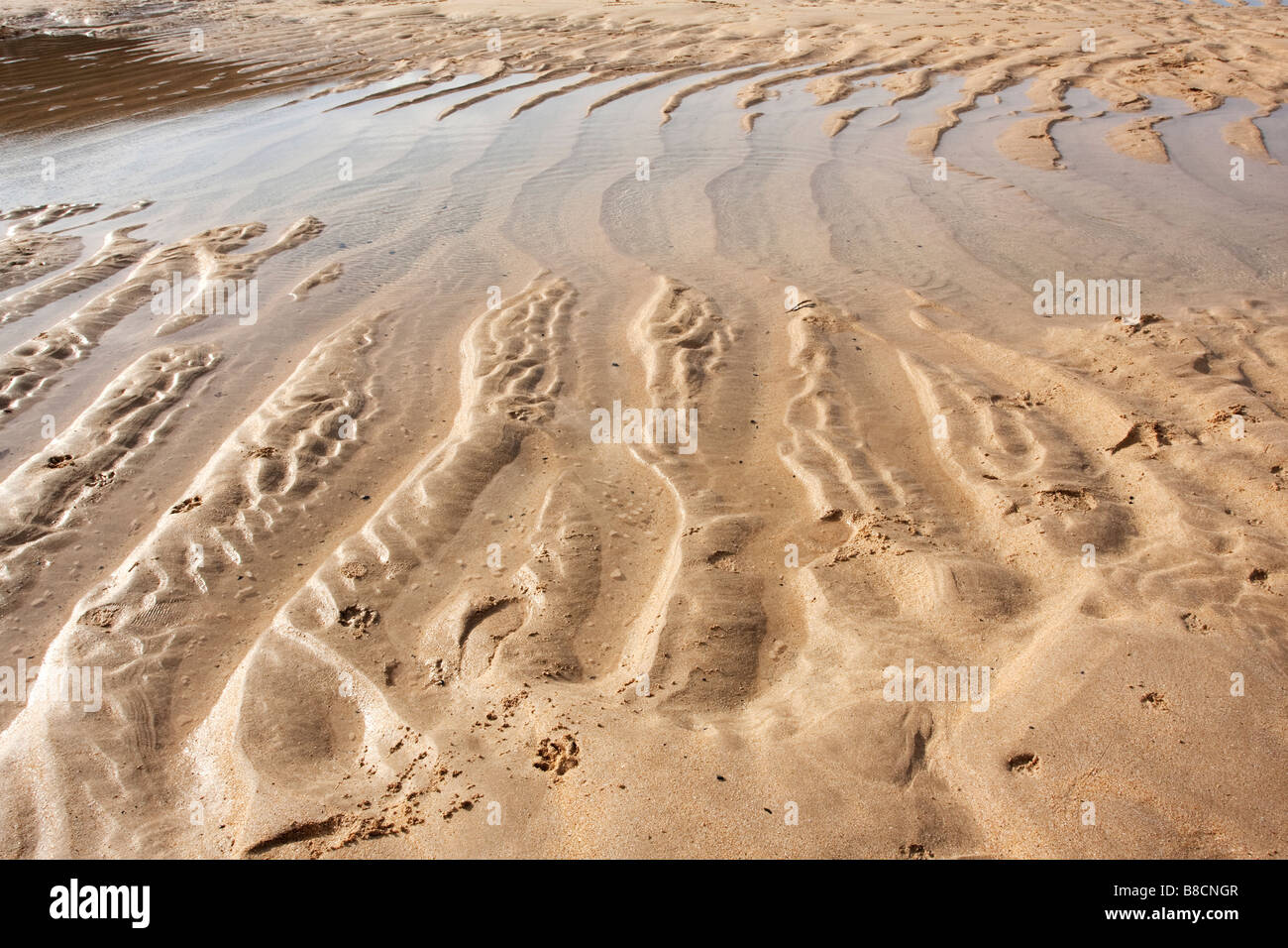sand ridges and water pool on a beach Stock Photo - Alamy