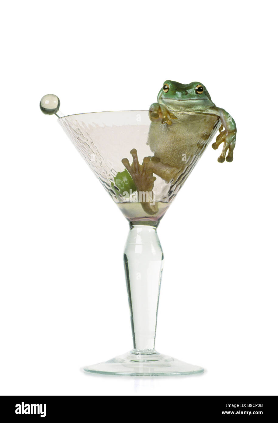 Drunk frog hi-res stock photography and images - Alamy