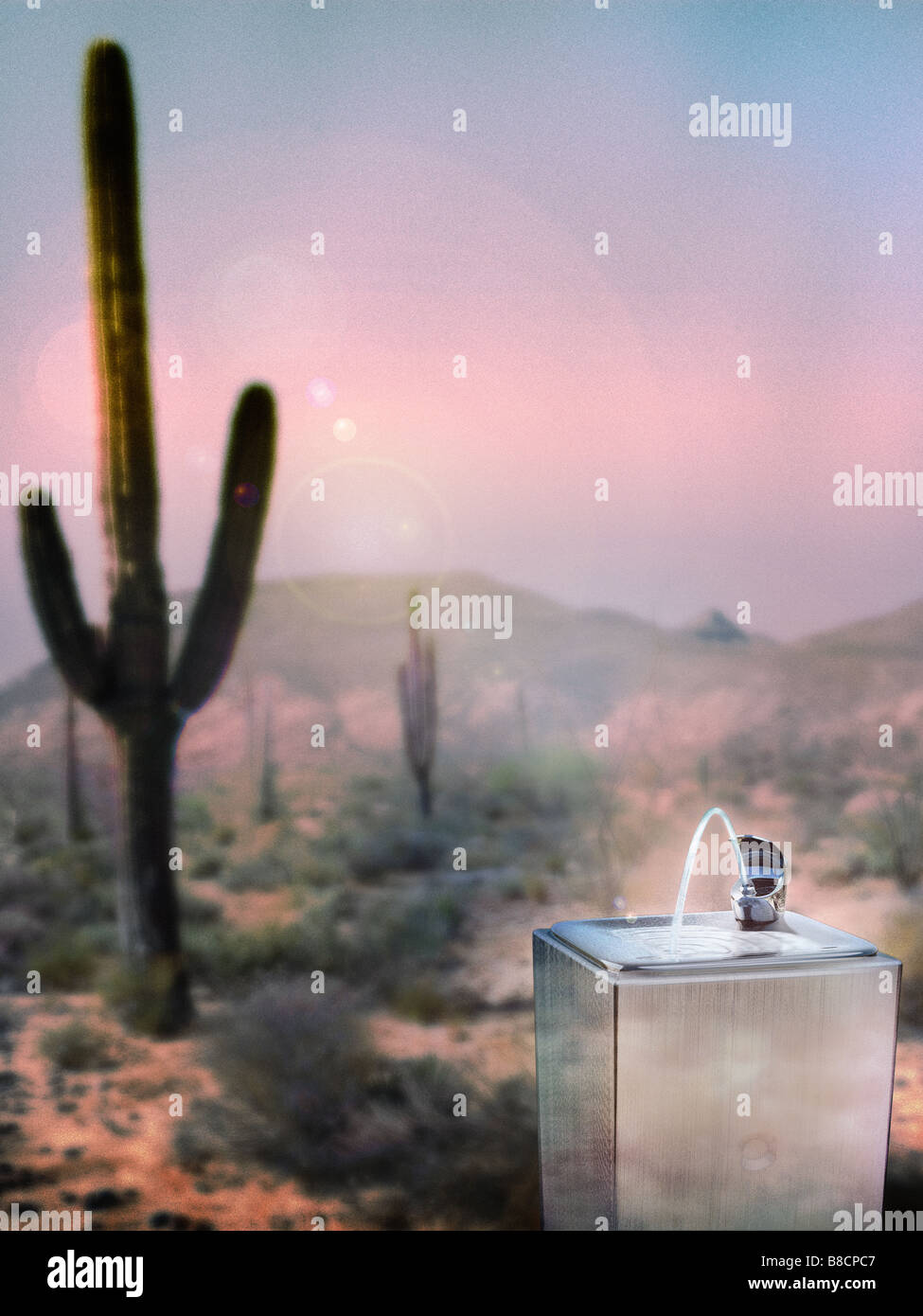 FL6447, Jim Tinios/Ted Sheppard; Drinking Fountain Desert Stock Photo ...
