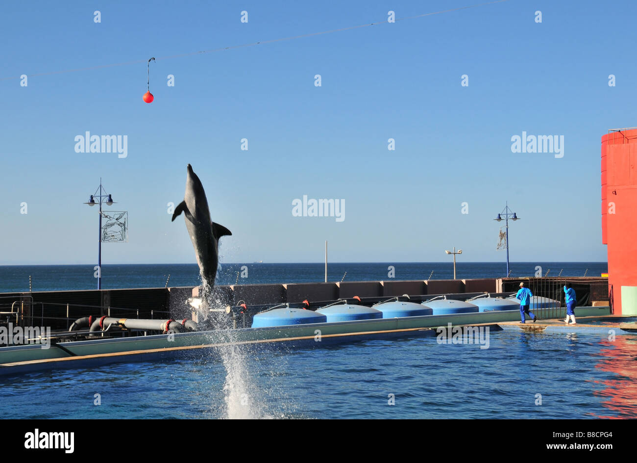 Dolphin enclosure hi-res stock photography and images - Alamy