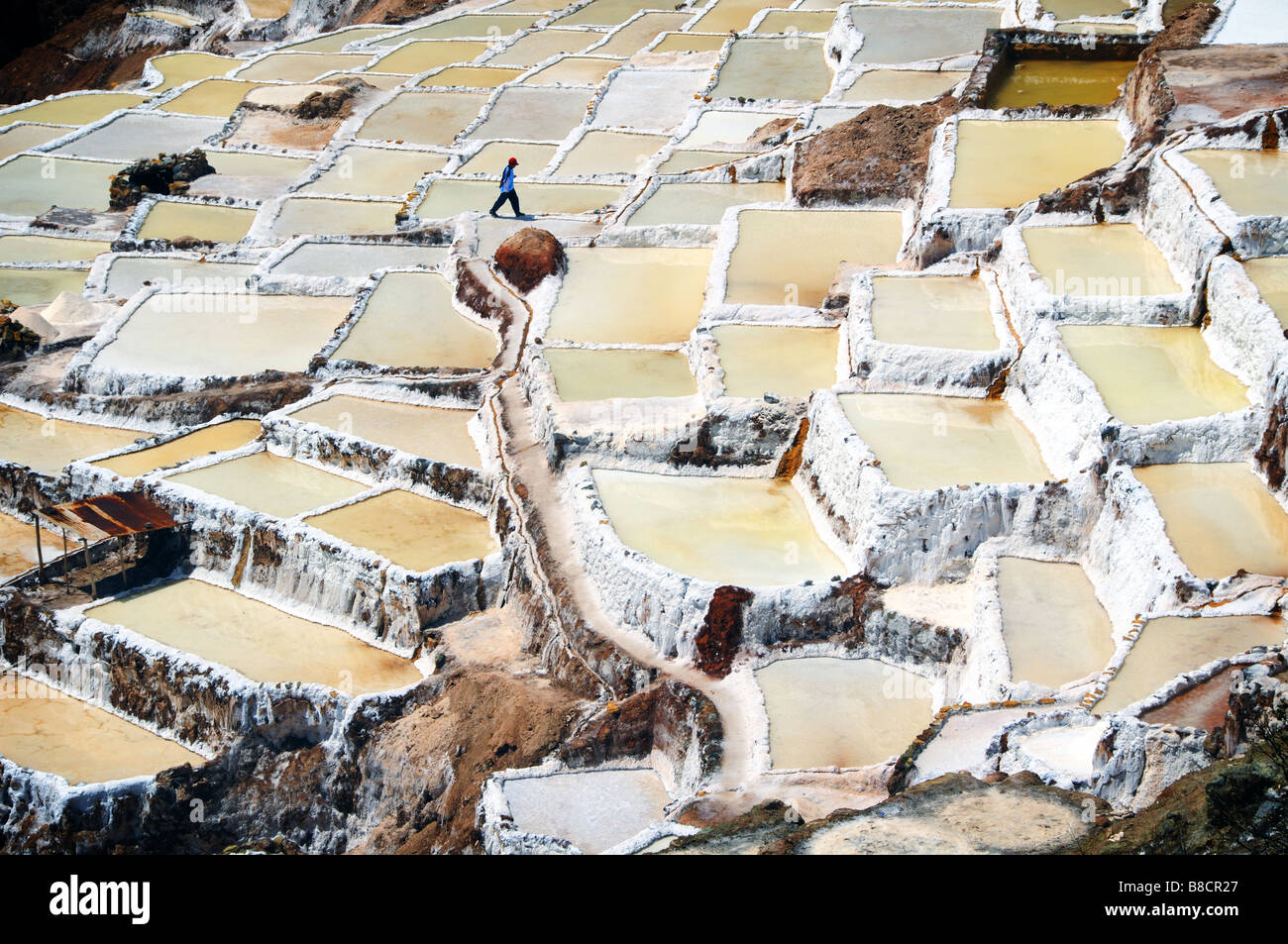 Salt pools at the Salineras de Mara, Peru Stock Photo - Alamy