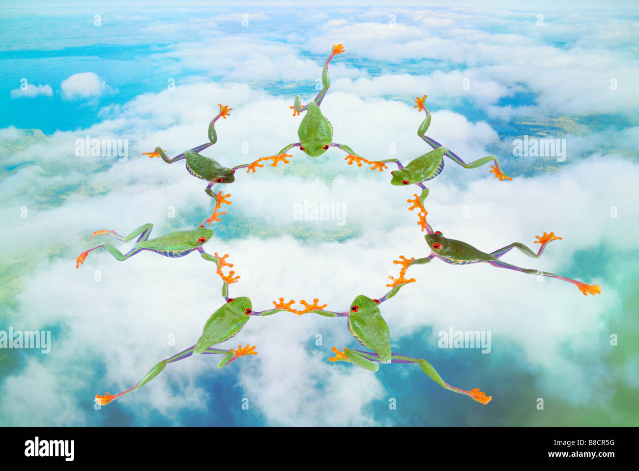 Circle of frogs hi-res stock photography and images - Alamy