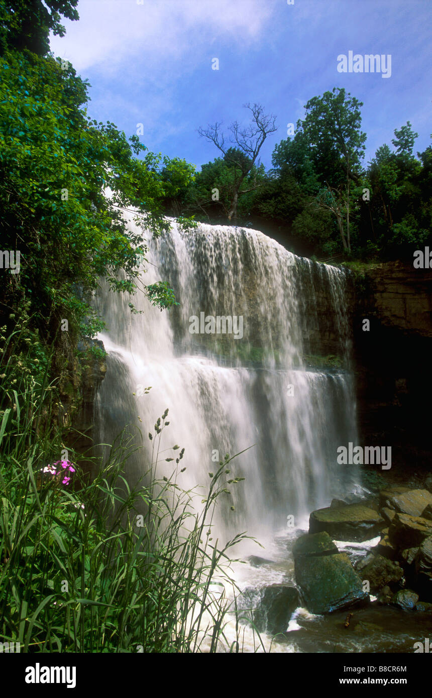 Websters hi-res stock photography and images - Alamy