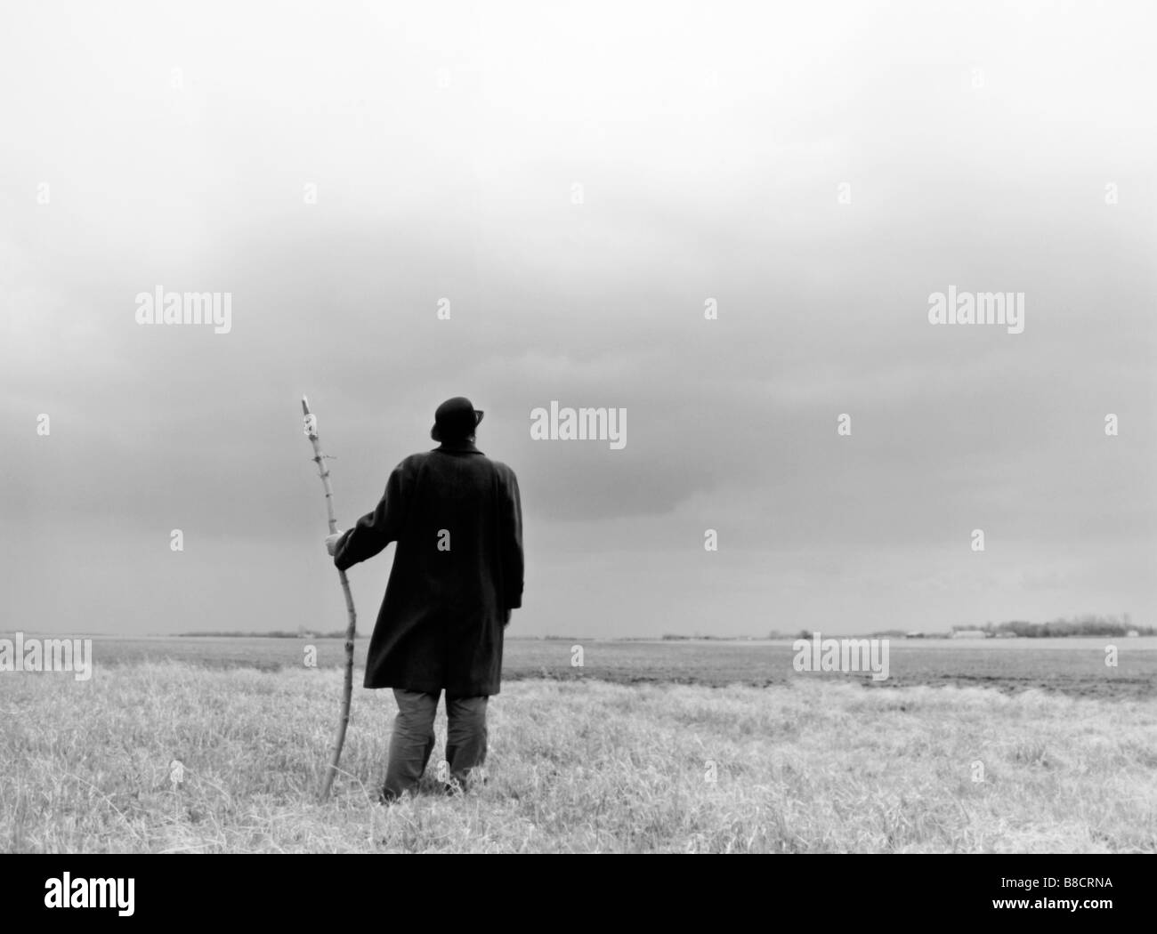 Man holding Stick Field Stock Photo - Alamy