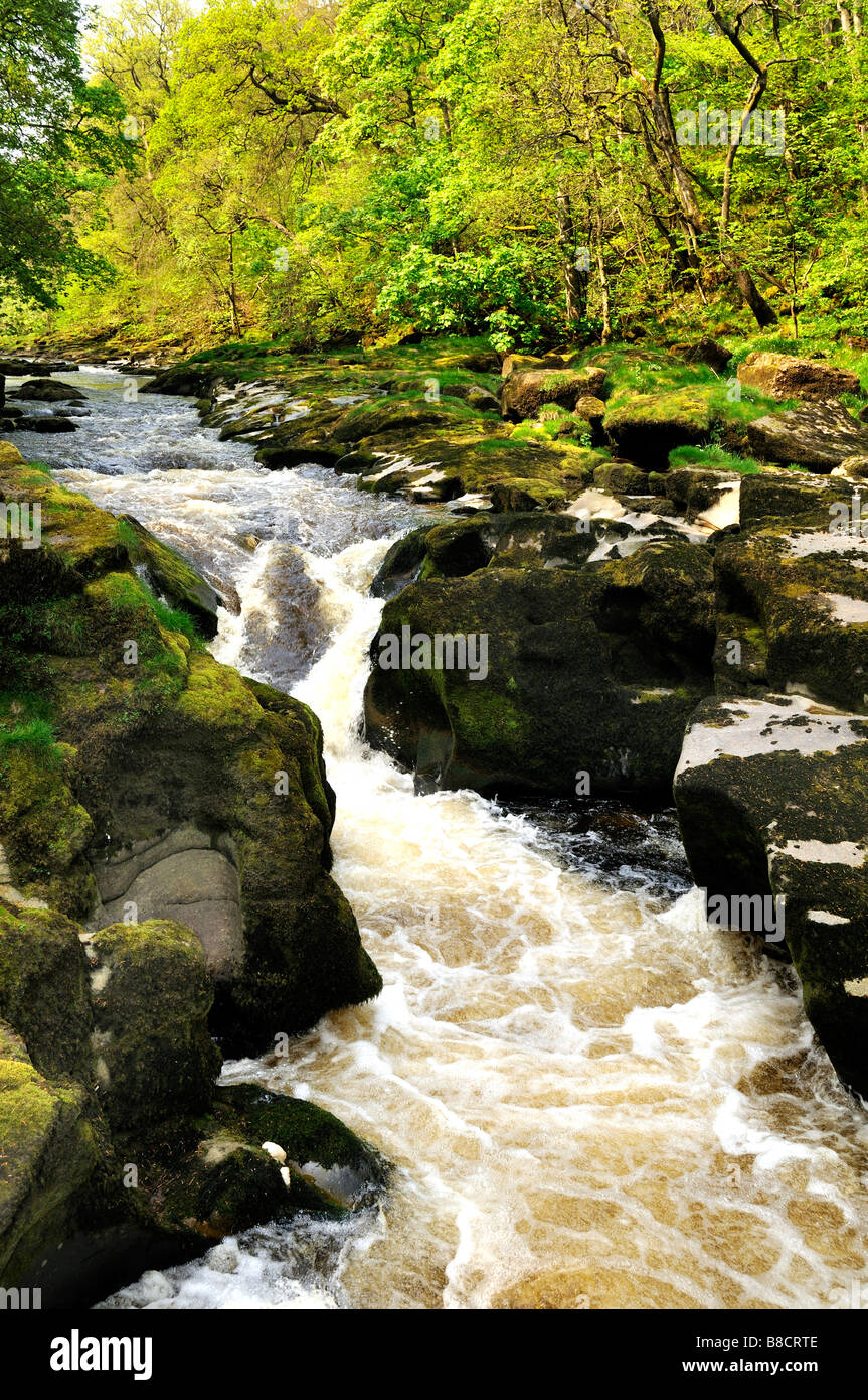 The Deadly but Deceptively Beautiful Strid Waterfall in the valley of ...