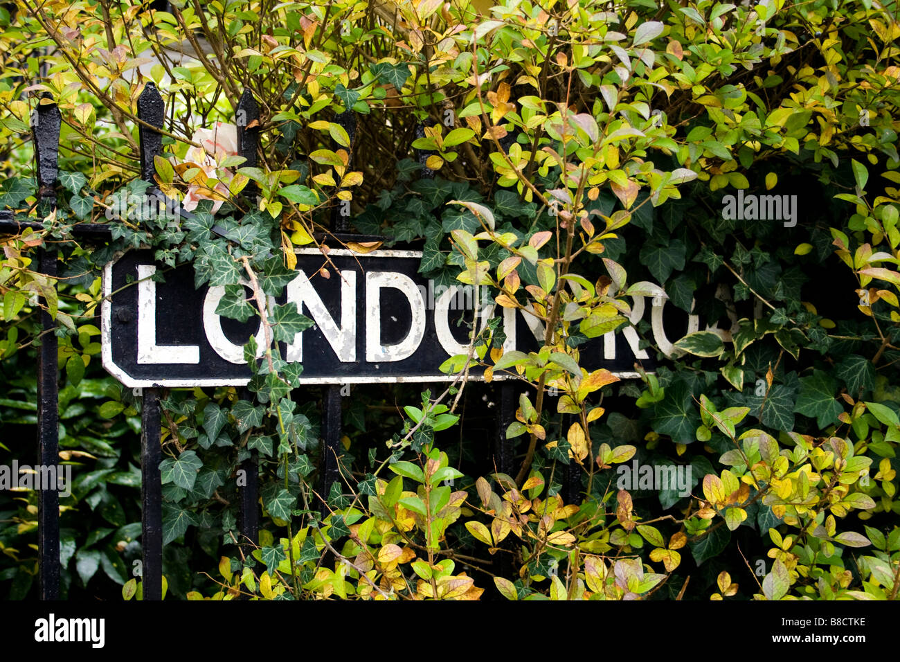 Road Sign in the hedge, for London Road, Sign in fence Road in ...