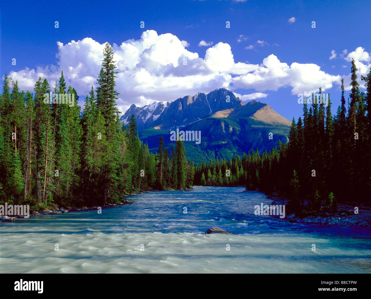 Darwin forest country park hi-res stock photography and images - Alamy