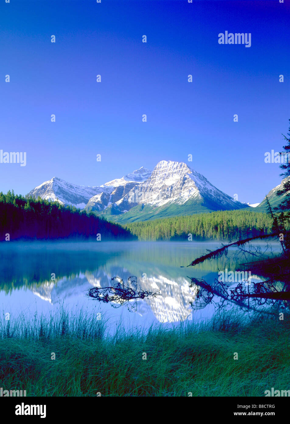 Leach Lake Stock Photos & Leach Lake Stock Images - Alamy