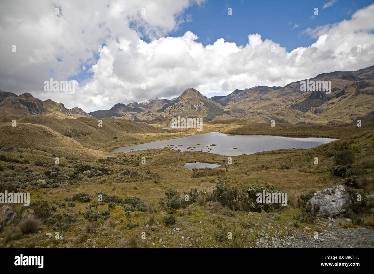 Landscape Scenic view of Parque Nacional Cajas (National park ) near ...