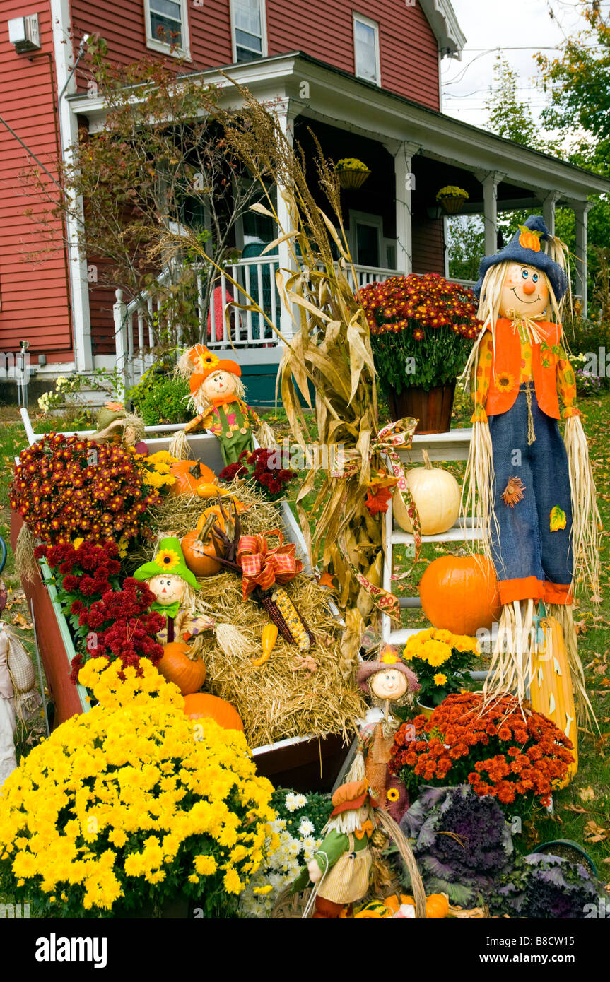 Autumn yard decor with pumpkins corn stalks and scarecrows at the Old ...