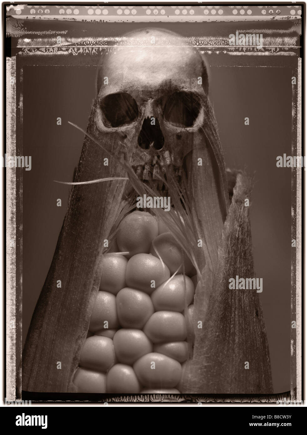 FV0835, Laurence Acland; skull top corn, collage Stock Photo - Alamy