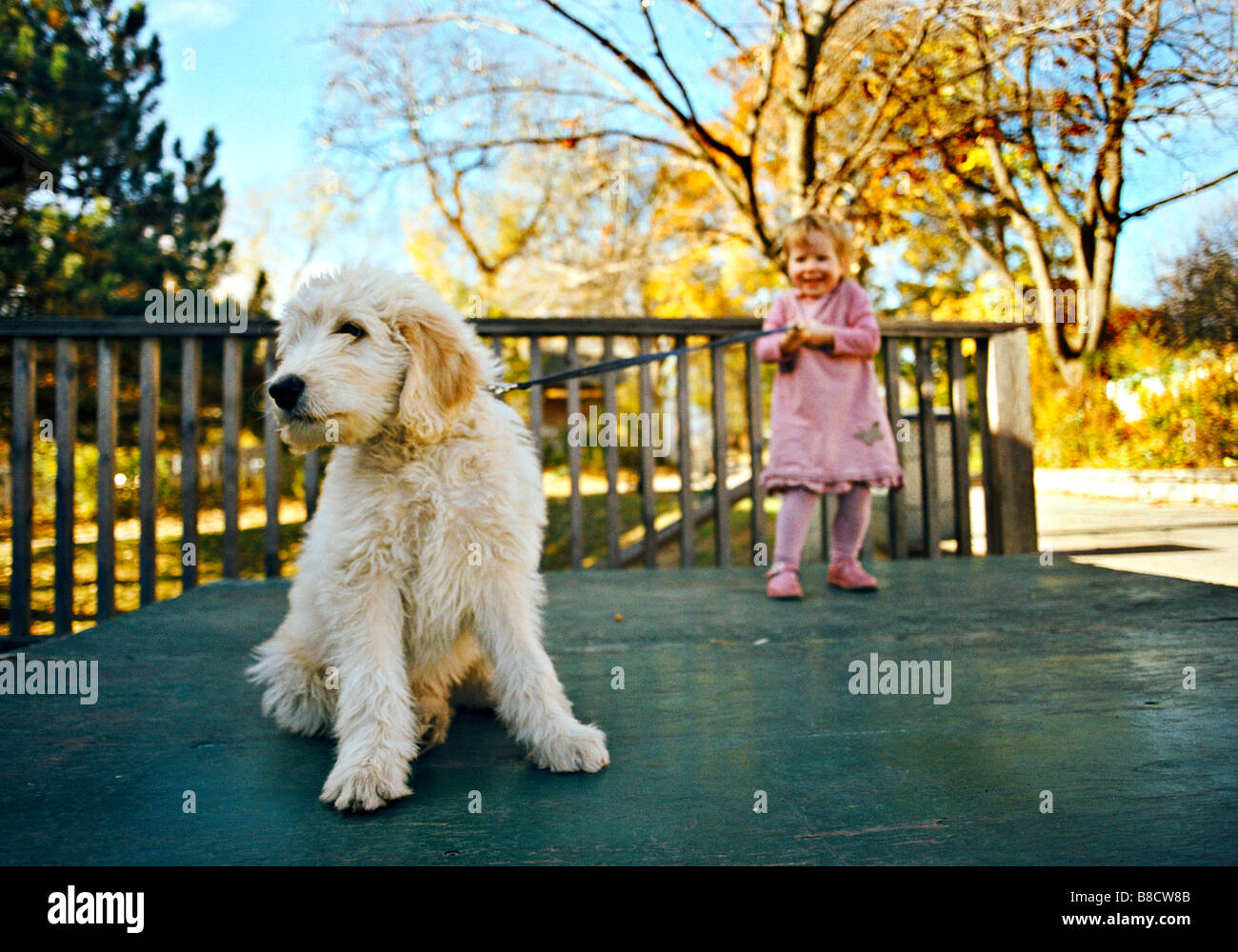 Girl pulling dog leash hi-res stock photography and images - Alamy
