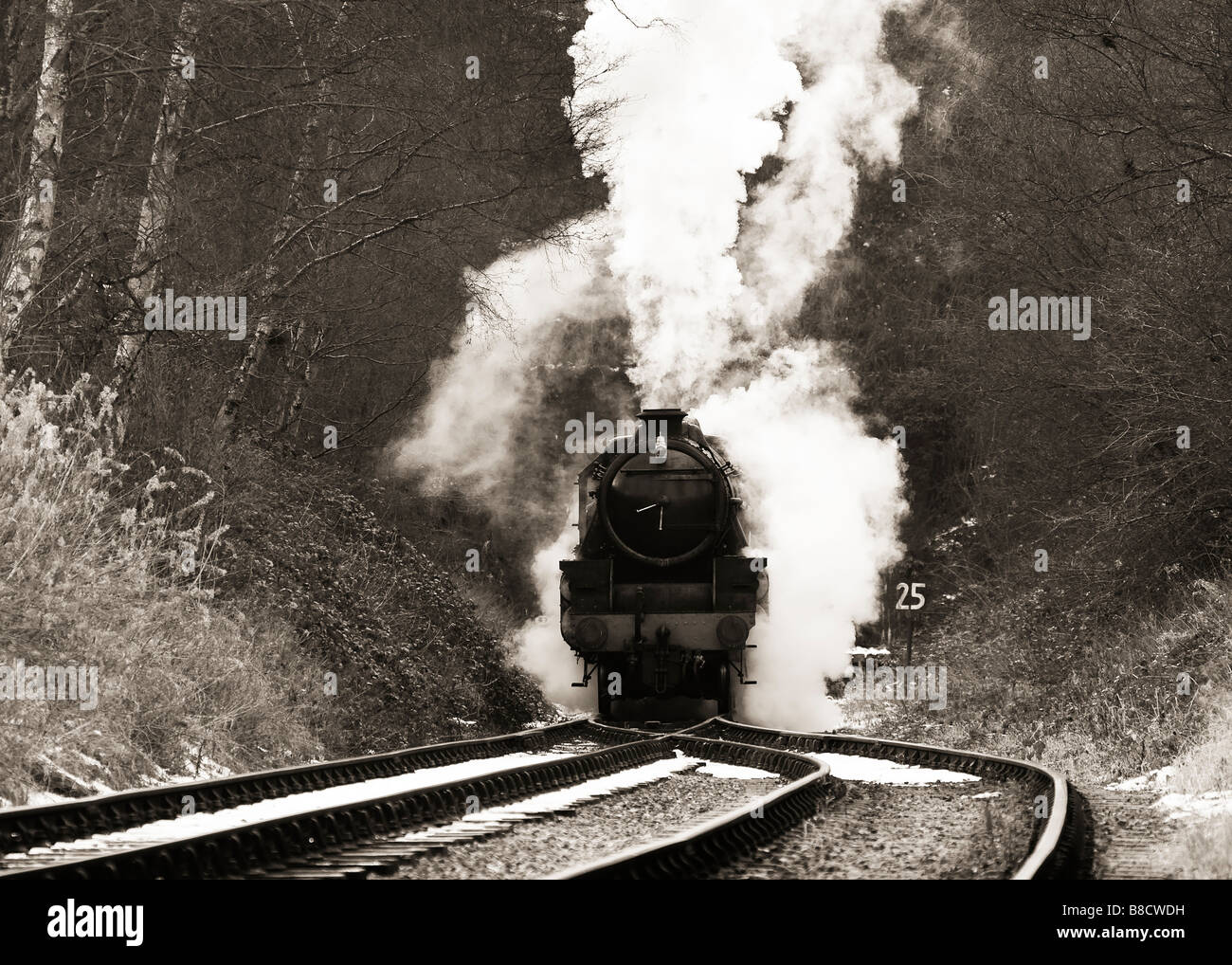vintage steam train Stock Photo - Alamy