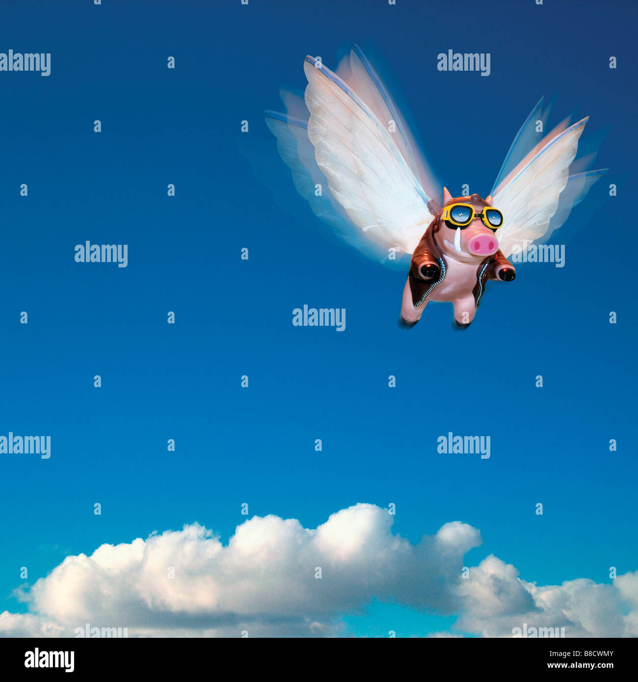 Leather flying jacket hi-res stock photography and images - Alamy