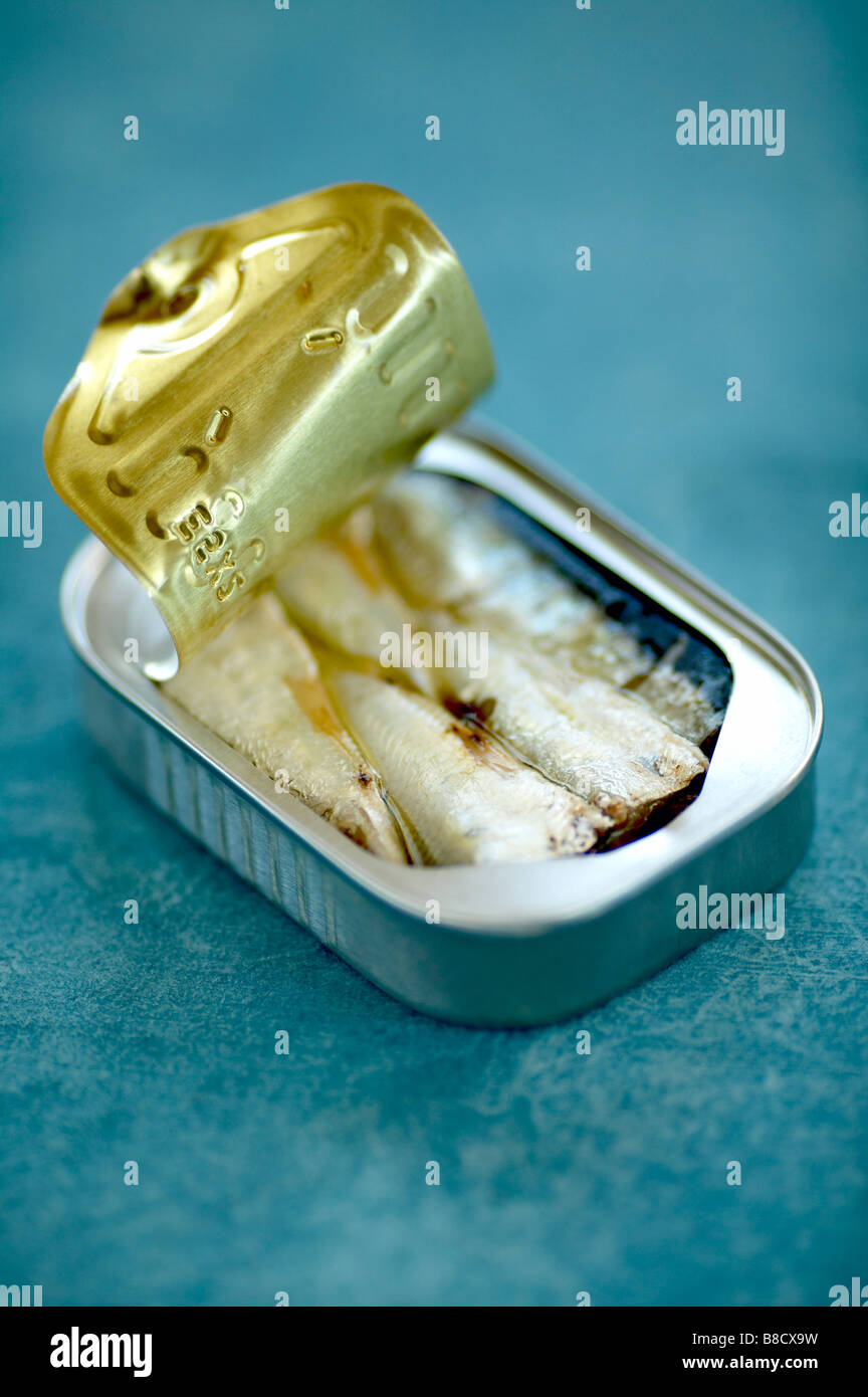 Open Tin Sardines Stock Photo - Alamy