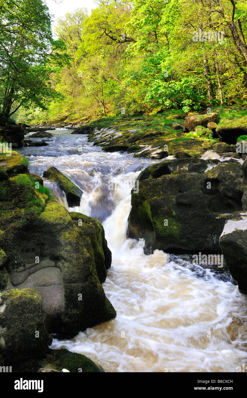 The Deadly but Deceptively Beautiful Strid Waterfall in the valley of ...