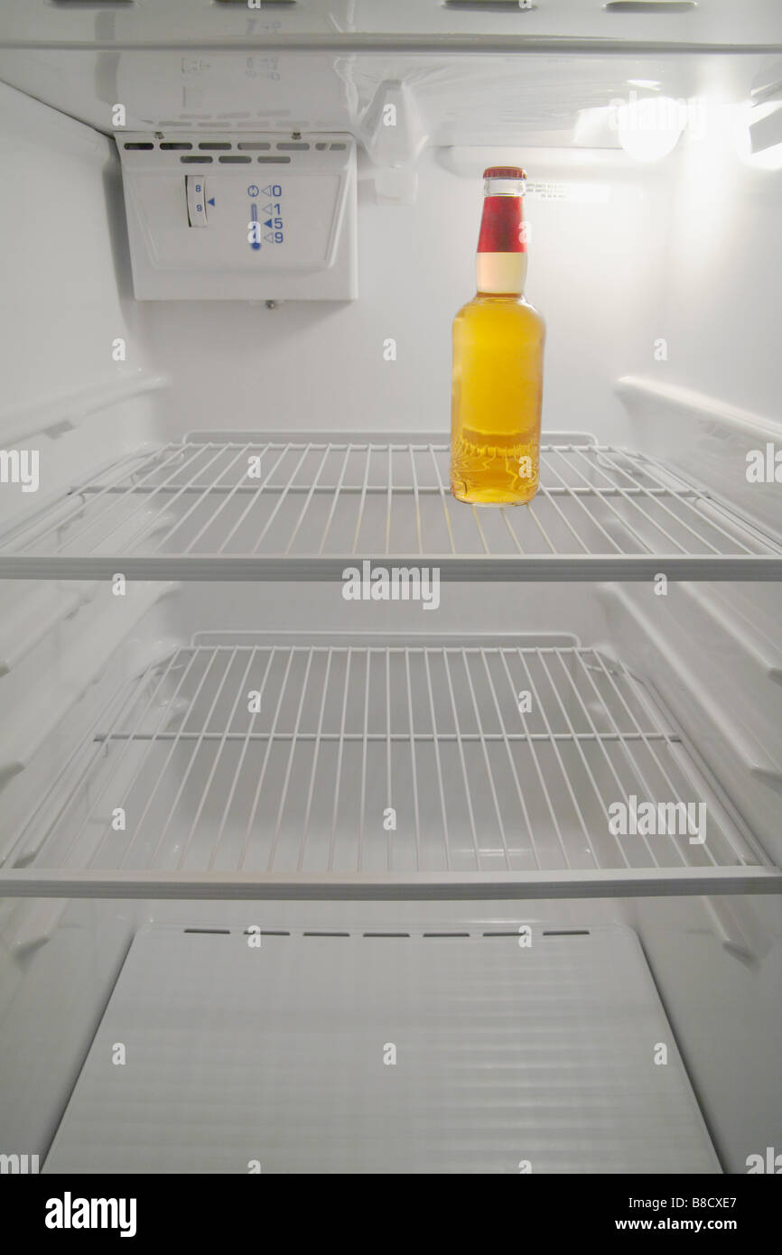 Empty Fridge Bottle Beer Stock Photo - Alamy