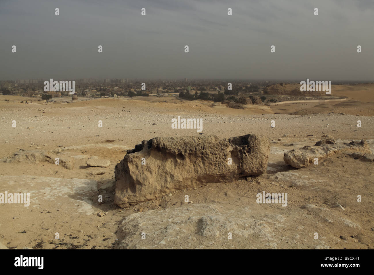 From the desert hi-res stock photography and images - Alamy