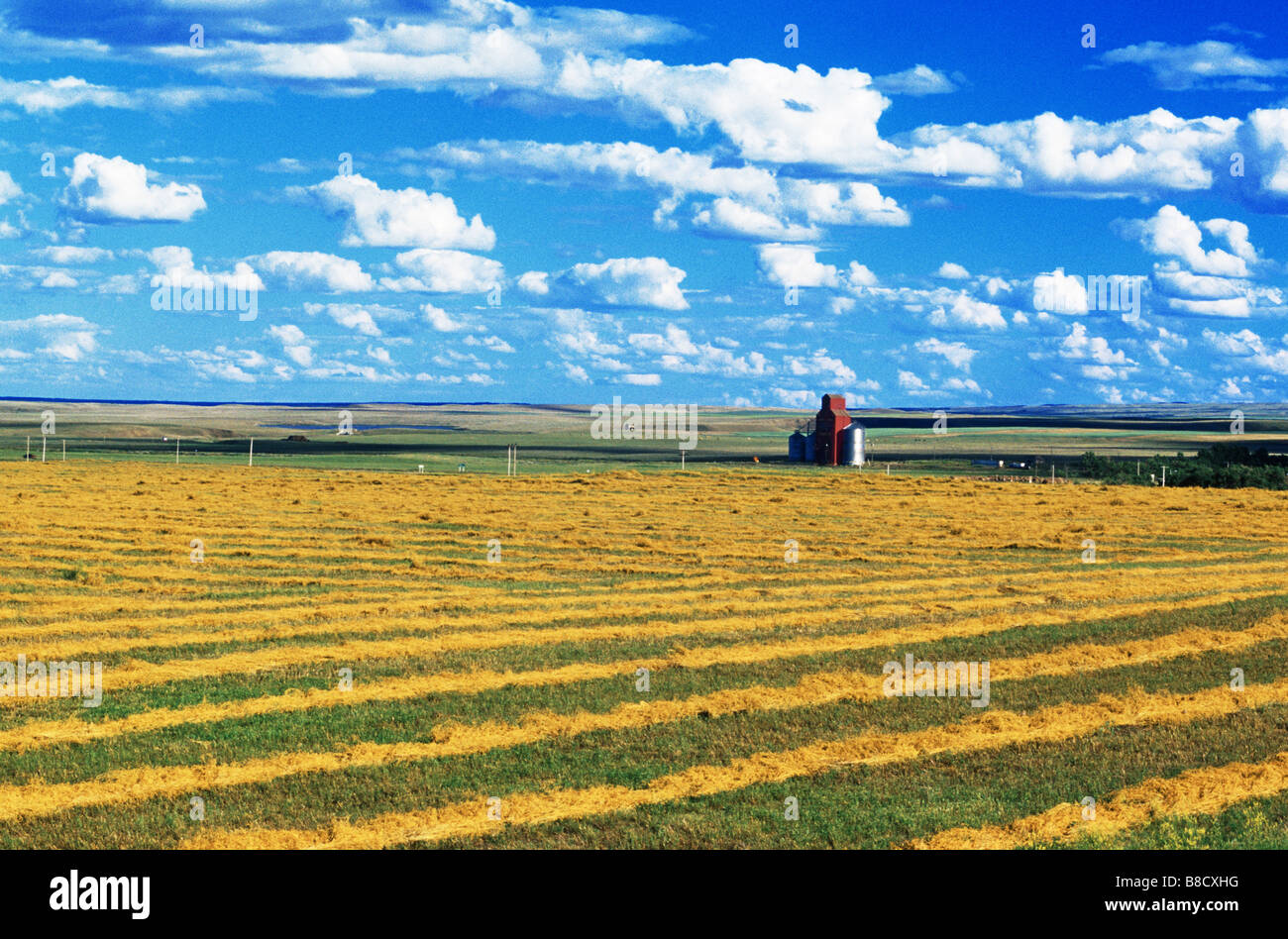 Cadillac saskatchewan hi-res stock photography and images - Alamy