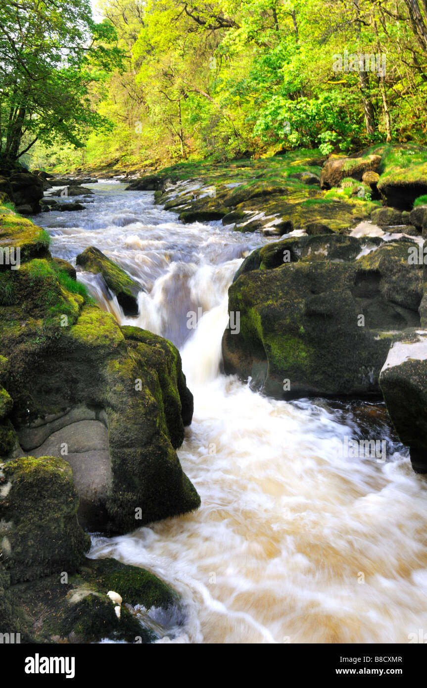 The Deadly but Deceptively Beautiful Strid Waterfall in the valley of ...