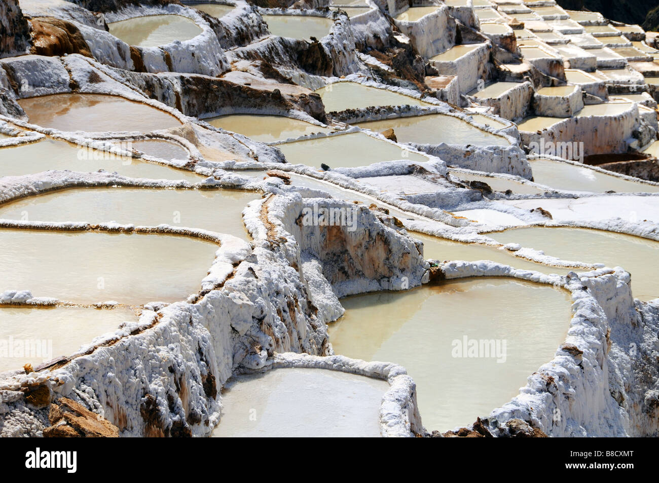 Salt pools at the Salineras de Mara, Peru Stock Photo - Alamy