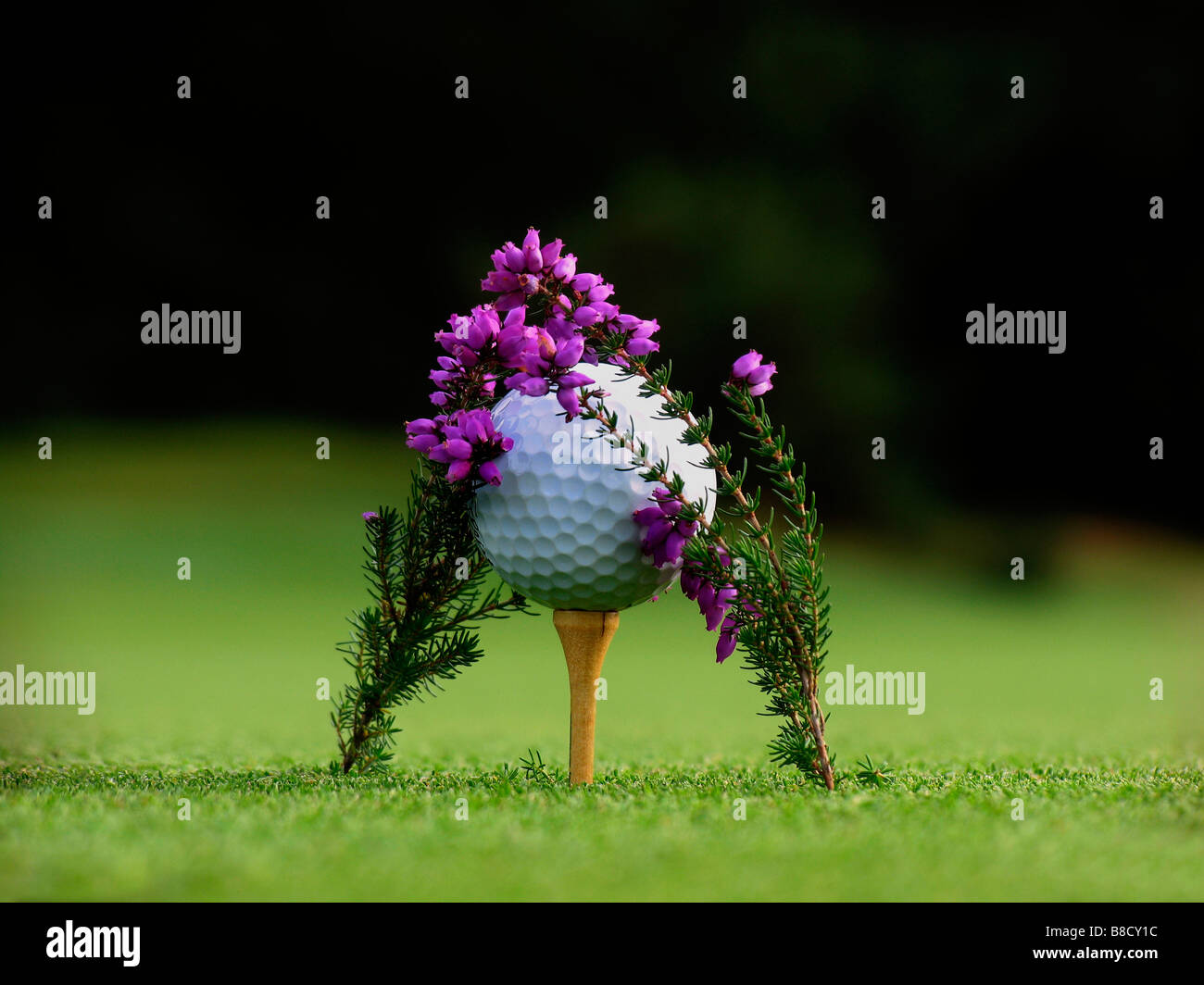 Teed ball hi-res stock photography and images - Alamy