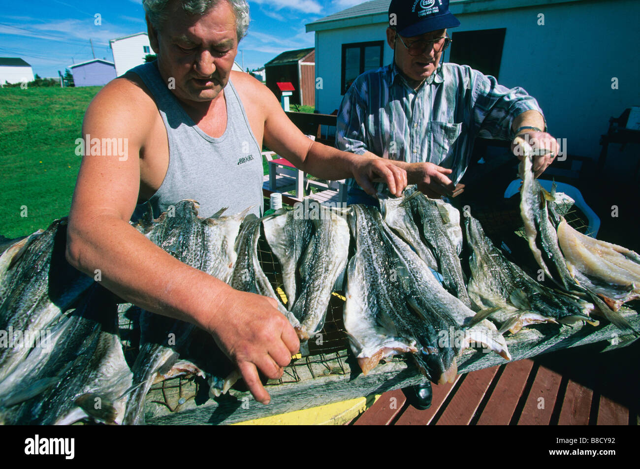 Dried cod newfoundland hi-res stock photography and images - Alamy