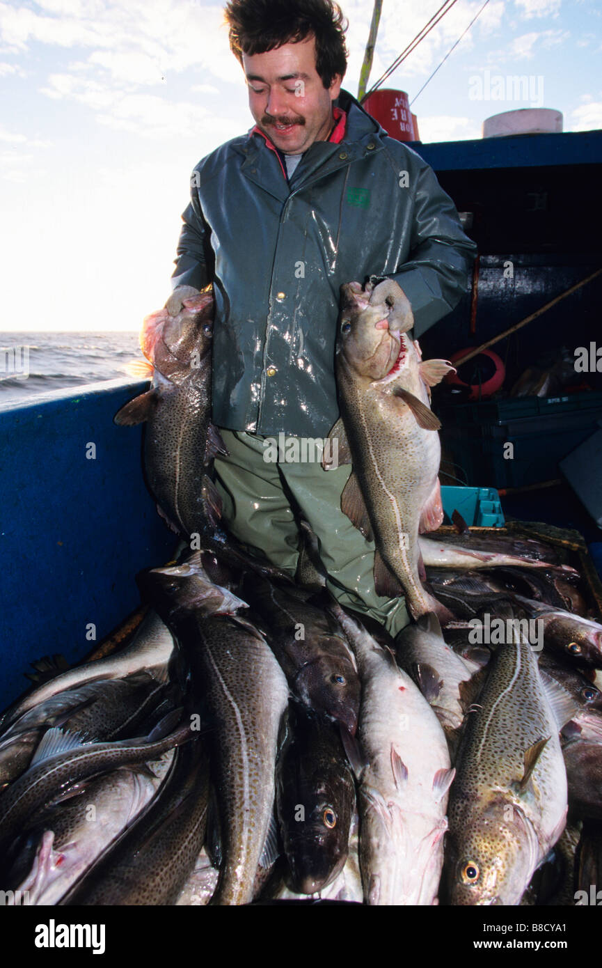 Male newfoundland hi-res stock photography and images - Alamy