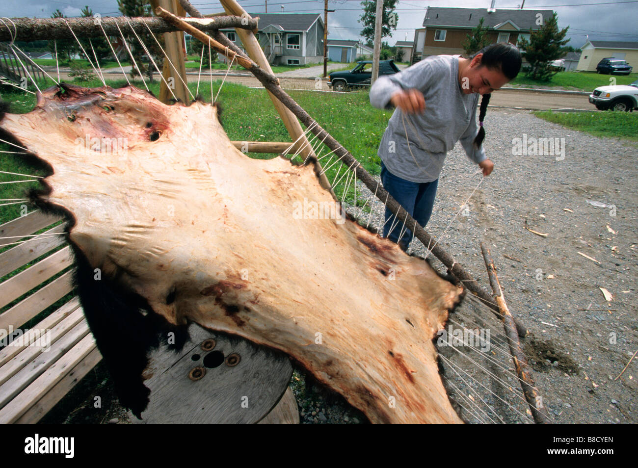 Native American Animal Skin High Resolution Stock Photography and ...