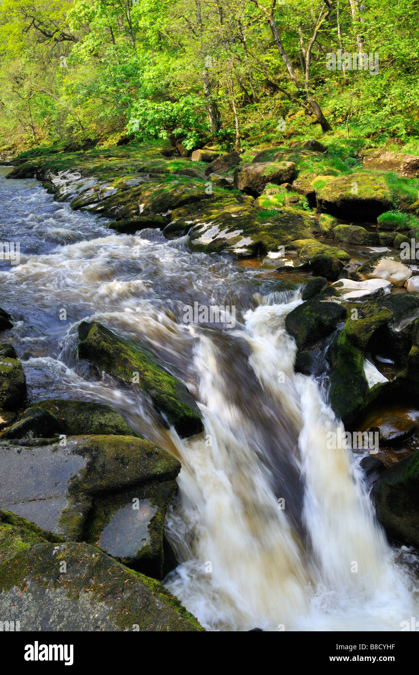 The Deadly but Deceptively Beautiful Strid Waterfall in the valley of ...
