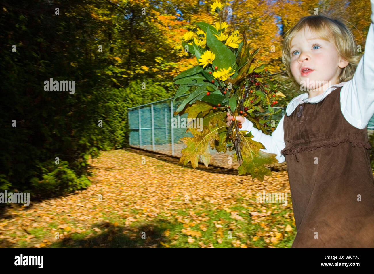 Little Girl Yard Fresh Cut Flowers Stock Photo - Alamy