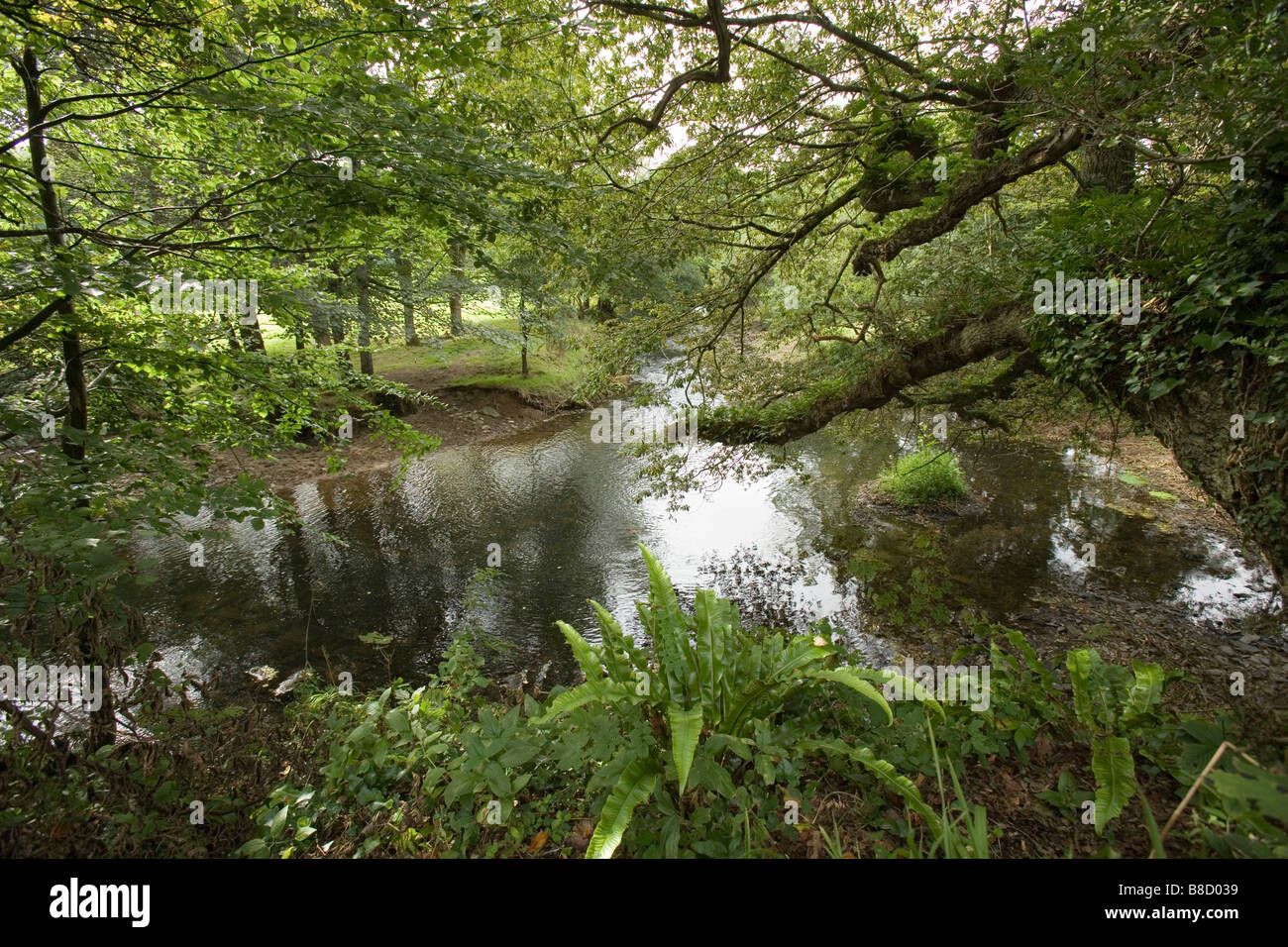 Helland hi-res stock photography and images - Alamy