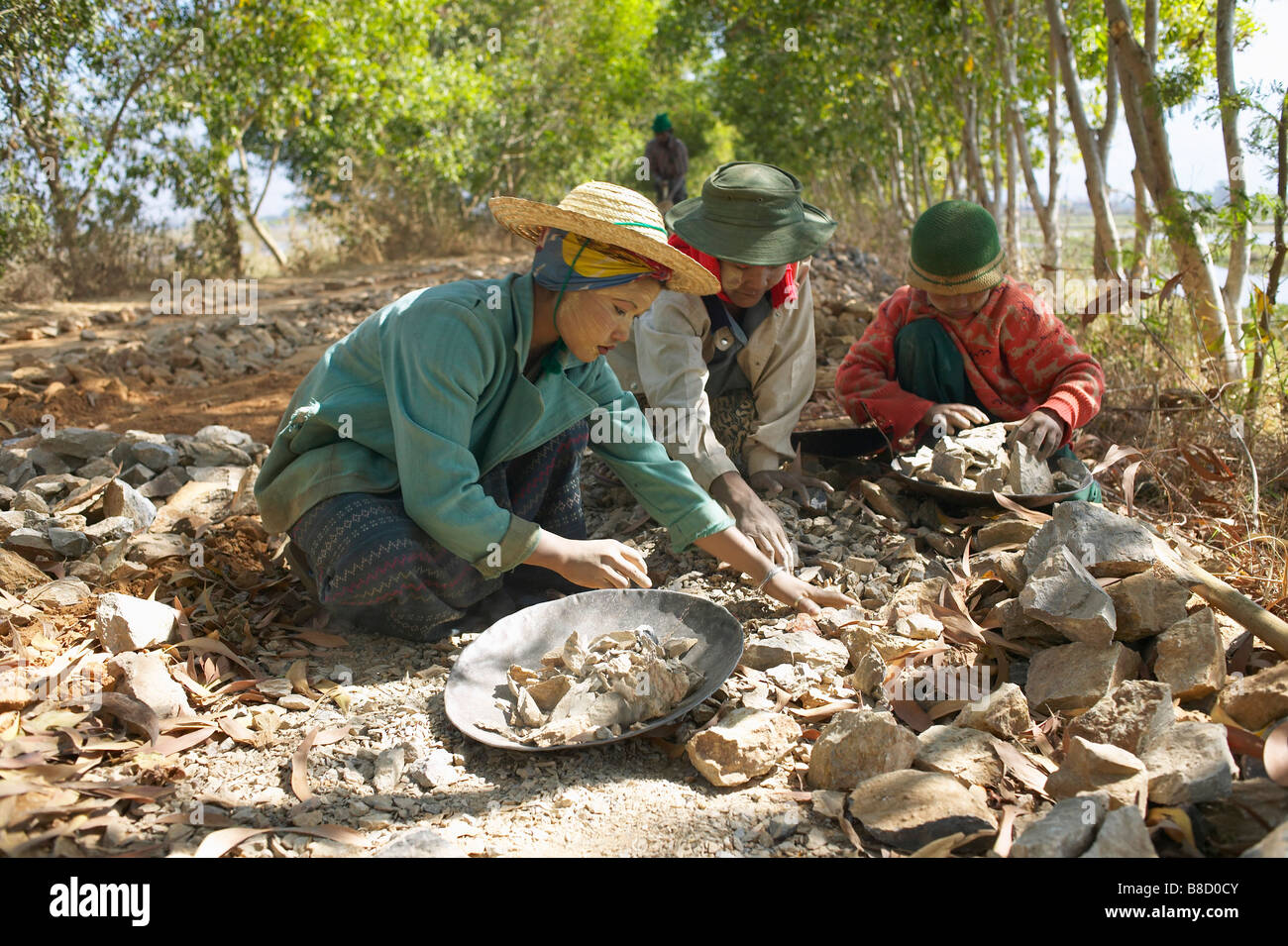 Women Gathering Rocks, Inle Lake, Myanmar (Burma Stock Photo - Alamy