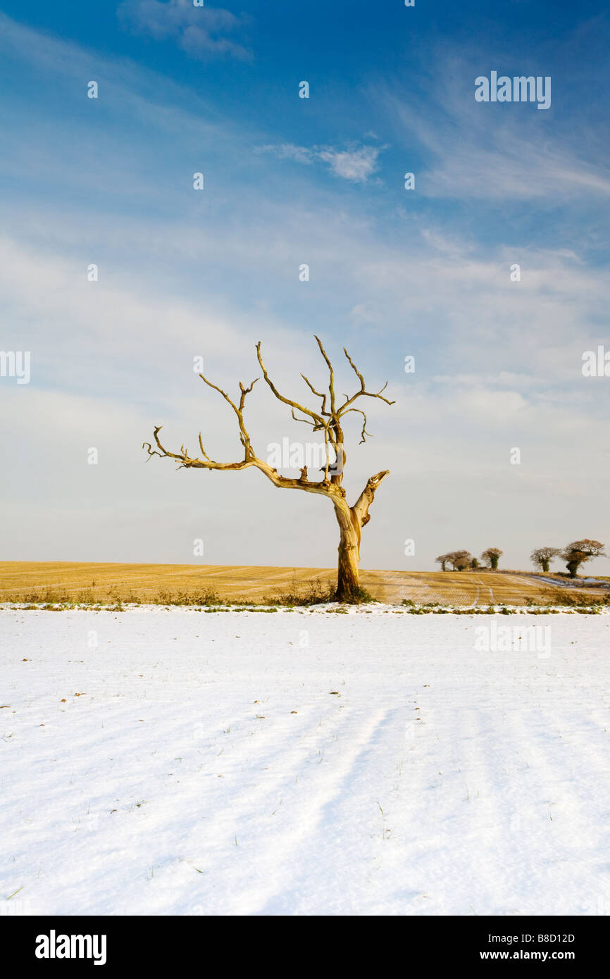 Winter landscape snow norfolk uk hi-res stock photography and images ...