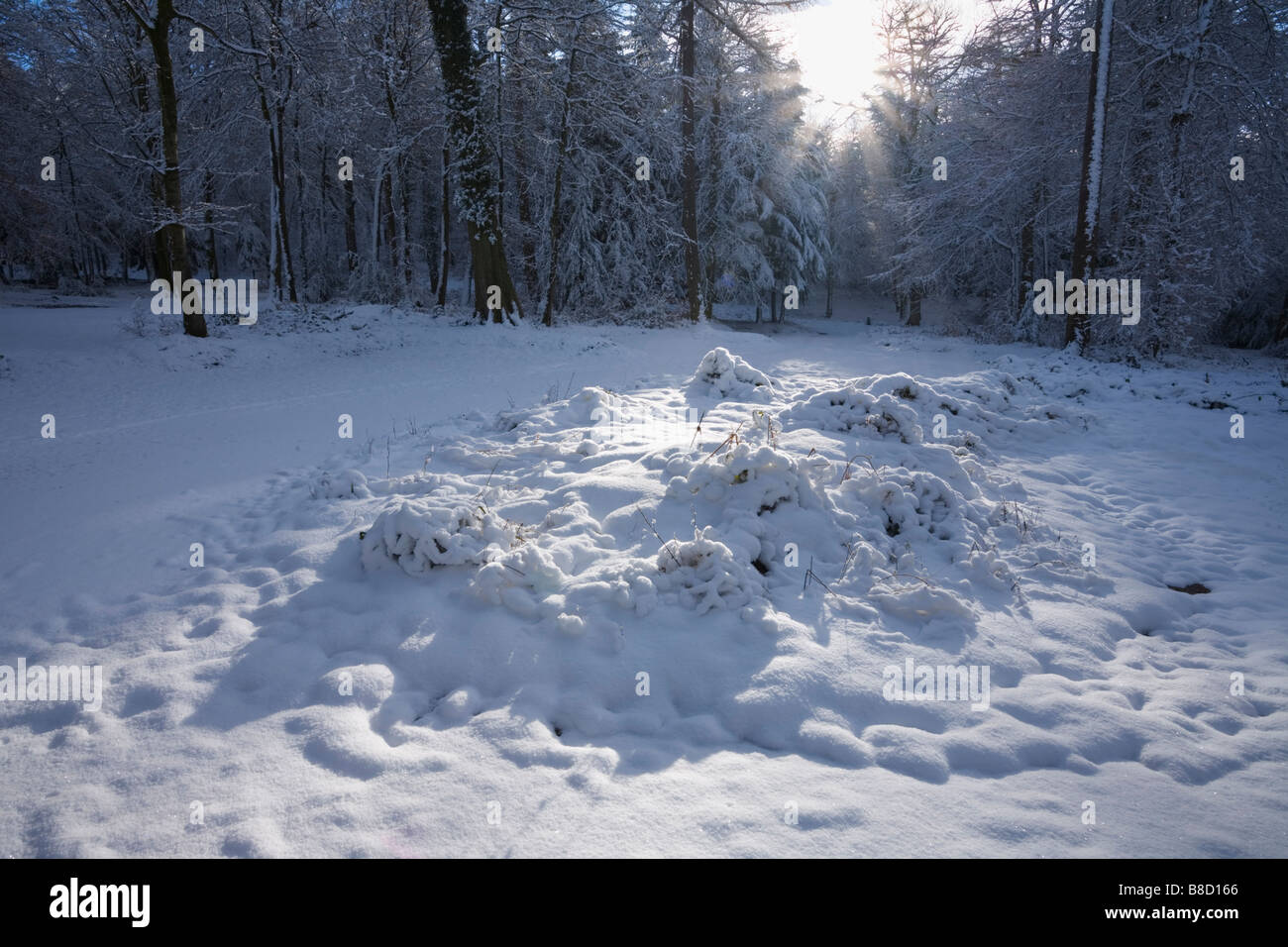 Winter scenes uk hi-res stock photography and images - Alamy