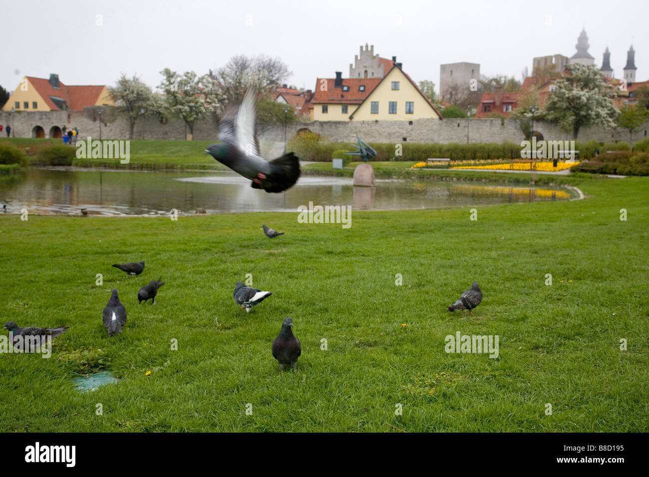Visby, the main town in Gotland island, Sweden, Baltic Sea Stock Photo ...