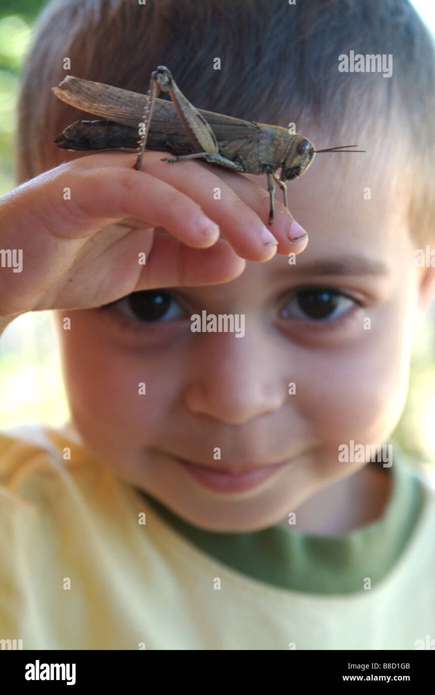 Little Boy Giant Grasshopper Stock Photo - Alamy