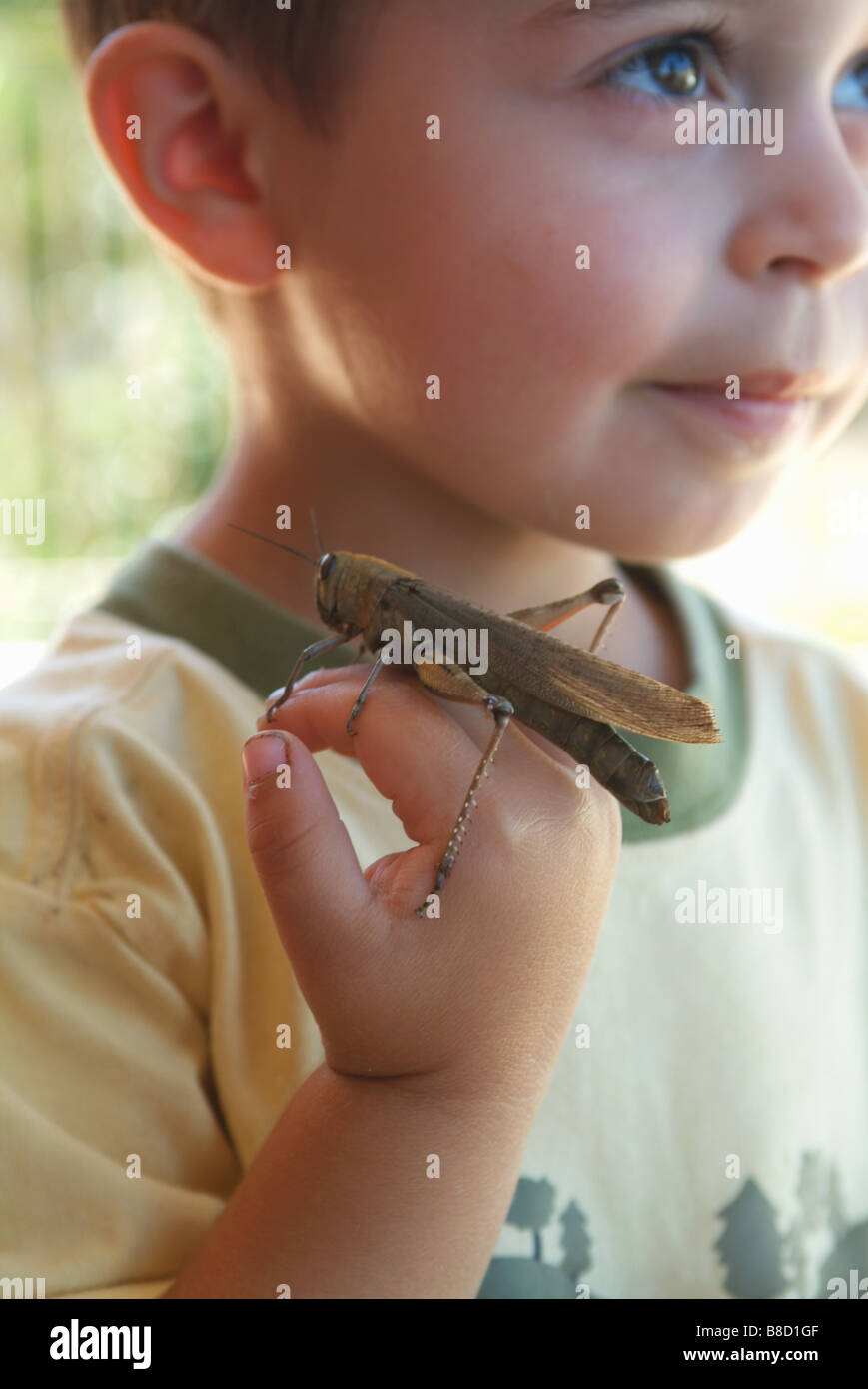 Little Boy Giant Grasshopper Stock Photo - Alamy