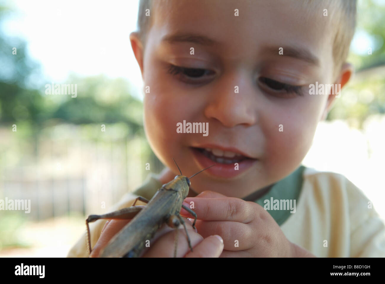 Little Boy Giant Grasshopper Stock Photo - Alamy